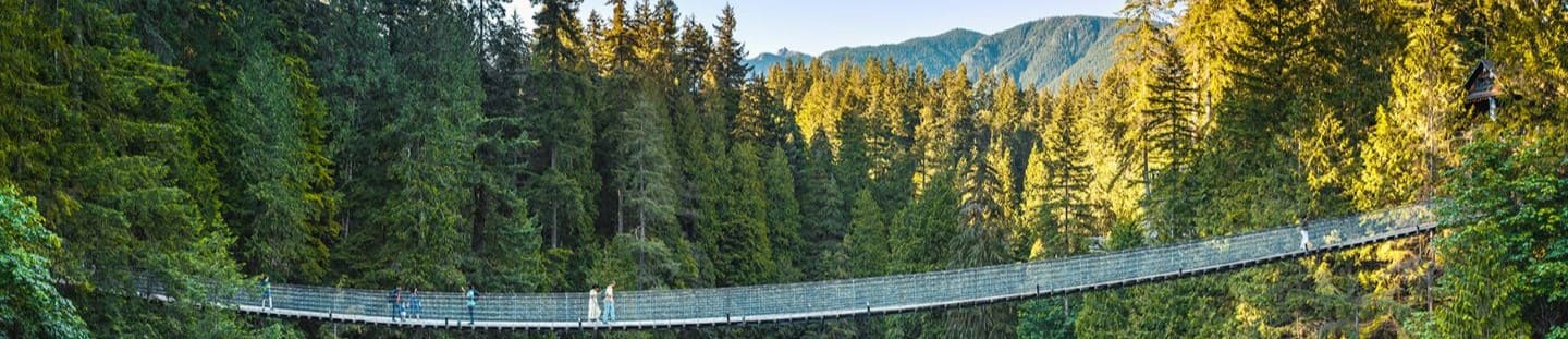 Cầu treo Capilano, kỳ quan ẩn mình giữa rừng cây Bắc Vancouver