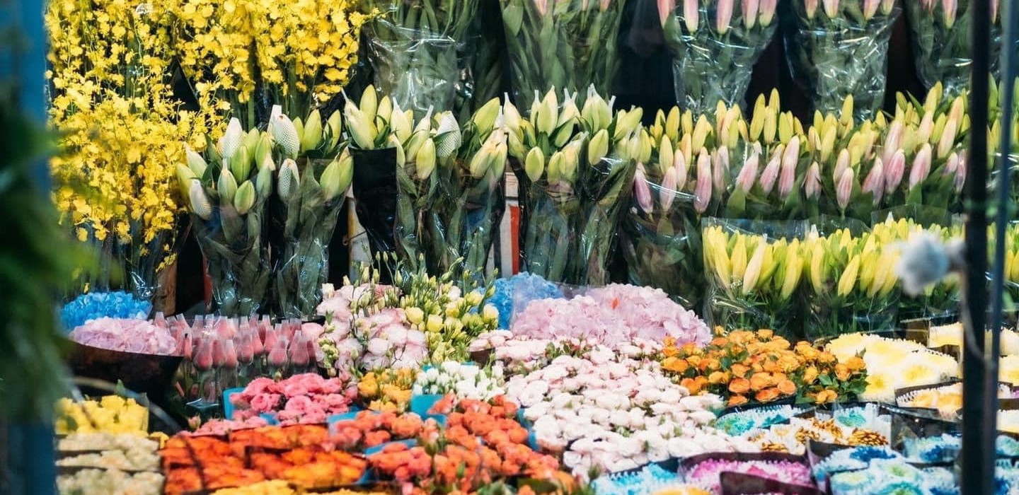 Chợ hoa Quảng An, vẻ đẹp rực rỡ khoe sắc sáng bừng thủ đô