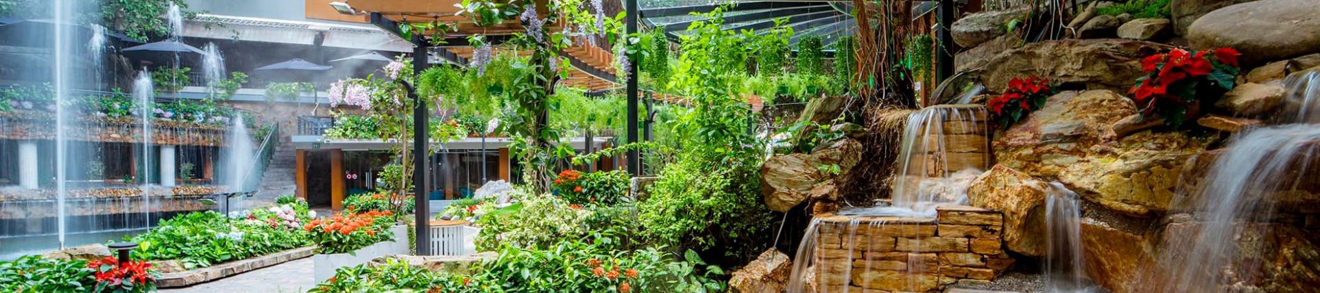 Quán Du Miên Garden Cafe: Khu vườn xanh mát giữa Sài Thành