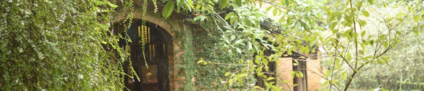 Khám phá di sản nghệ thuật ở bảo tàng Đồng Đình Đà Nẵng