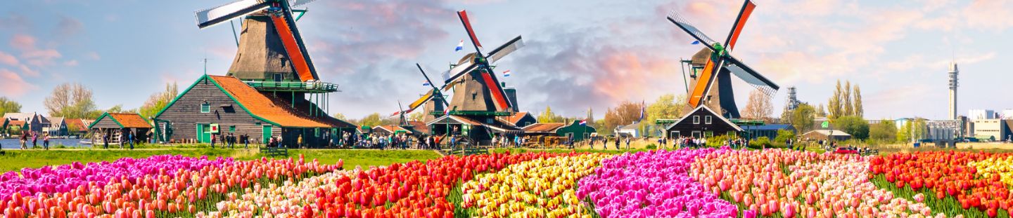 Lạc vào vườn Keukenhof với cánh đồng 7 triệu hoa tulip nở rộ
