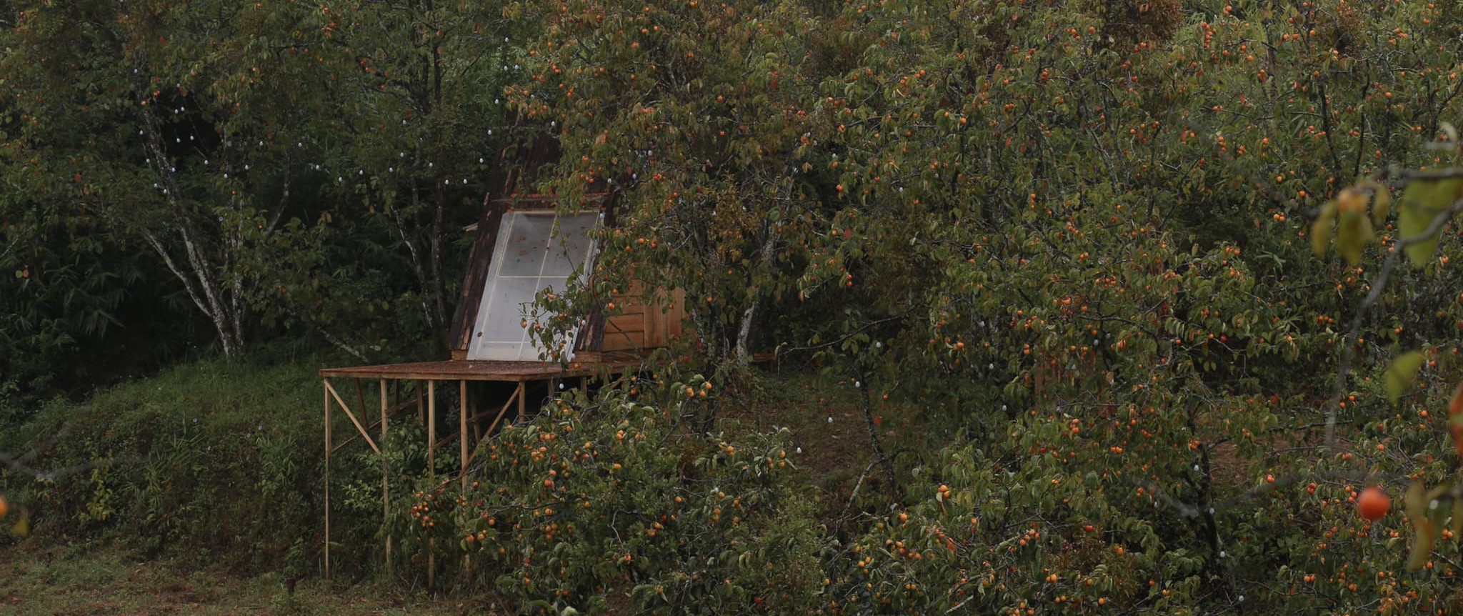 Những cơn mưa thu Đà Lạt, không gian lãng đãng rung động trái tim