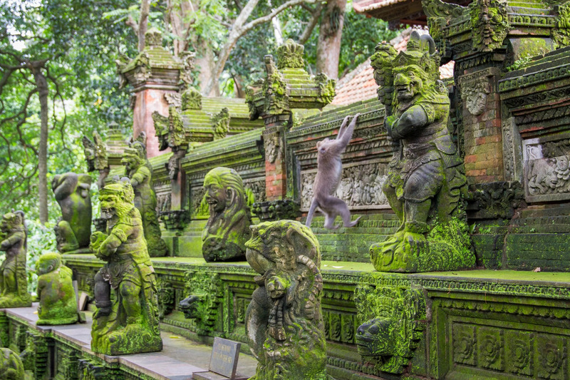 Rừng Khỉ Ubud Bali, nơi giao thoa giữa thiên nhiên và tâm linh